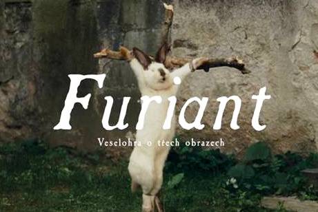 Furiant míří na Sundance